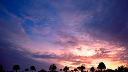 A Brief History of Deltona Florida - Deltona Aluminum